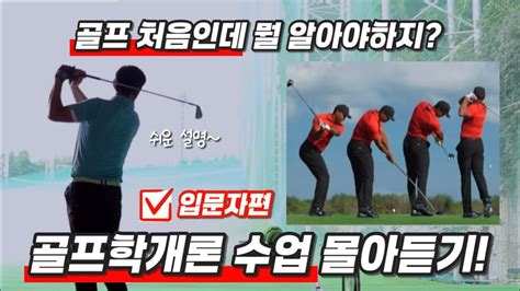 골프레슨 ️골프 기초 바로잡자 입문자편 올바른 연습을 알려드립니다🔥 골프입문 골린이 골프기초 골프레슨 골프스윙 골프팁 스프링힐스 Youtube