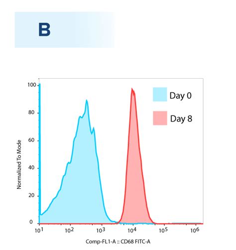 Cd14 Monocyte Isolation Applied Cells