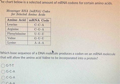 Solved The Chart Below Is A Selected Amount Of Mrna Codons For Certain Amino Acids Messenger
