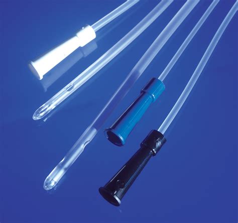 Catheter Female Anatomy At Eugene Mash Blog