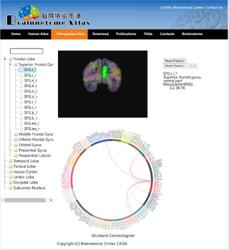 chimpanzee brainnetome atlas national chimpanzee brain resource