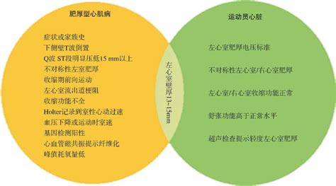 二运动员心脏与肥厚型心肌病 运动性心律失常及猝死 医学