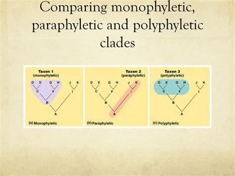 26 3 Shared Characters Are Used To Construct Phylogenetic Trees Ppt Download