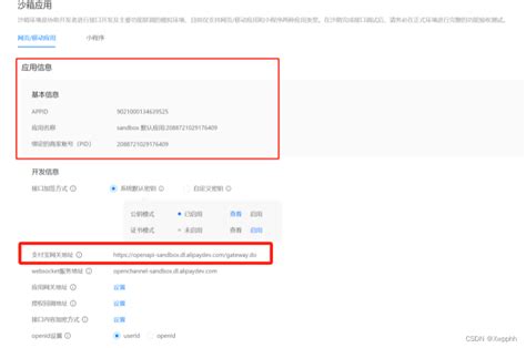 如何快速使用支付宝沙箱环境调试支付接口保姆级教程pythondjangodrfsimplejwt支付宝调试工具 Csdn博客