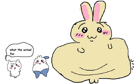 Fat Usagi Chiikawa Nel 2025 Disegno Di Persone Disegni Memi