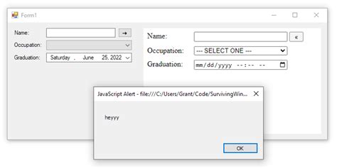 Host A Simple Webpage In WinForms With CefSharp