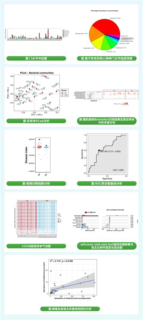 上海凌恩生物科技有限公司