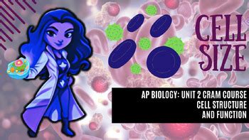 AP Biology UNIT Cell Structure And Function Cell Size Section Video Guide