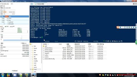15 docker视频教程 docker容器宿主机端口映射 java知识分享网 免费java资源下载