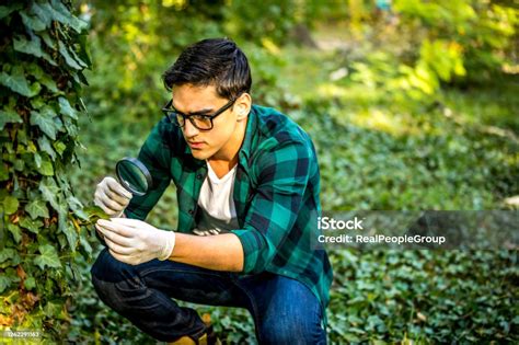 남자는 돋보기와 잎을 본다 청남은 돋보기로 나무 잎을 검사합니다 나무를 저장 자연을 저장합니다 환경의 날 자연 연구 노인은 산림 연구를합니다 곤충에 대한 스톡 사진 및 기타