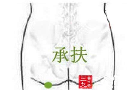 承扶位置图和作用 承筋 鱼际的位置图和作用 大山谷图库