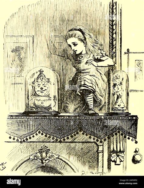 Through The Looking Glass Illustrations