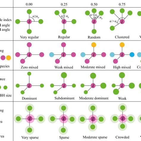 PDF Methods Of Forest Structure Research A Review