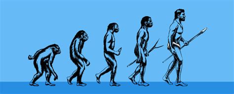 How Did Humans Evolve A Complete Guide To Human Evolution
