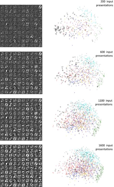 visualization of stages in self organized mapping out of 100 cluster