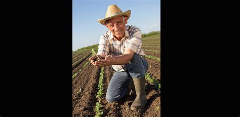 11 View Images In Drill Down Hierarchy Taroworks Support Center