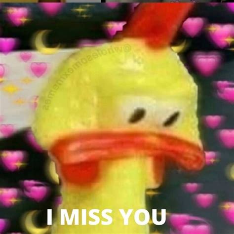 101 Sincere I Miss You Memes To Share With People You Love And Miss