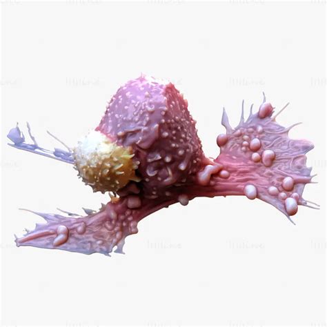 Download Cancer Cell Tumor 3d Model