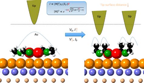 Cartoon Showing STM Imaging Of The Molecule In Different Poses Under Download Scientific