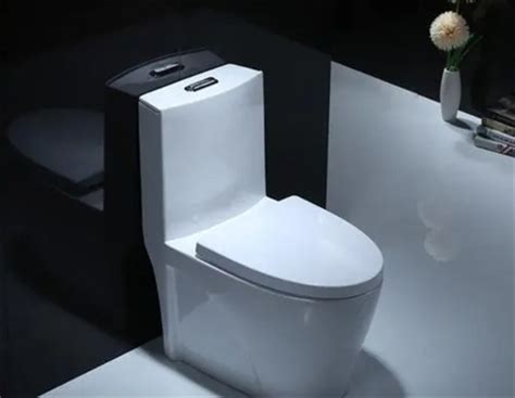 虹吸马桶和直冲马桶区别有哪些 装修全知道 学堂 齐家网