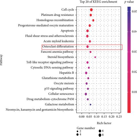 A Total Of 139 Upregulated Genes And 420 Downregulated Genes Were