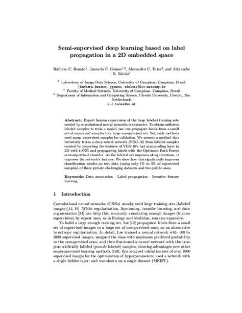 Pdf Semi Supervised Deep Learning Based On Label Propagation In A 2d