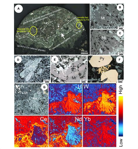 A F Photomicrographs In Reflected Light A Overview Of Download Scientific Diagram