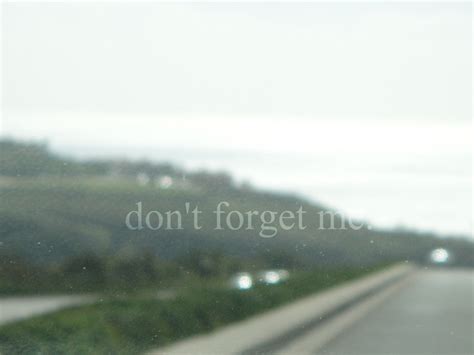 배경 화면 거리 푸른 빛 흐림 녹색 자동차 인쇄술 말 고속도로 초점 바닥 보케 소니 본문 회색 곡물 고속 도로 세례반