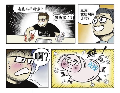 程序员，你喜欢写文档吗？ 爱码叔 icodebook
