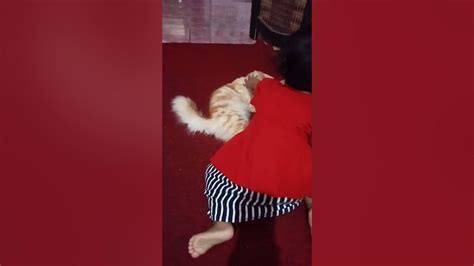 Bermain Sama Push Meme Youtube