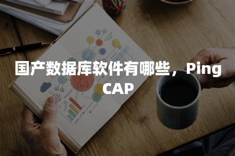 国产数据库软件有哪些，pingcap Pingcap 平凯星辰