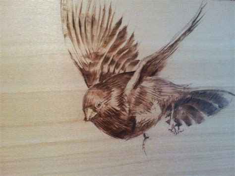 Bird In Flight Pyrography Art Wood Burning Patterns Stencil Pyrography