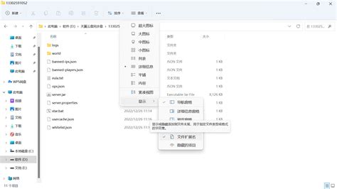 我的世界超简易开服教程！ 哔哩哔哩