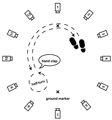 Sensors Free Full Text The Analytical Validity Of Stride Detection And Gait Parameters