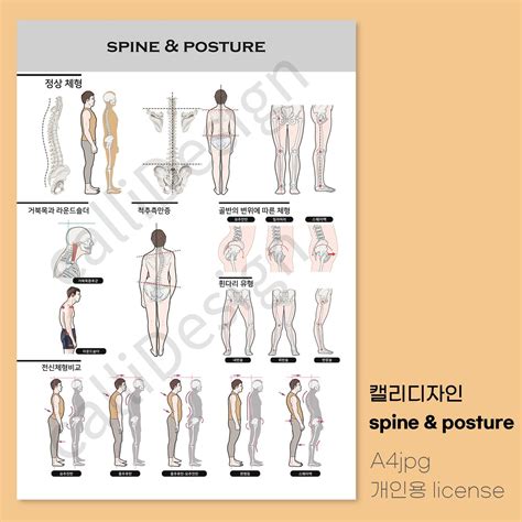 의학그림 메디컬 일러스트 Callidesign On Instagram 캘리디자인 Ctee Shop에서 본 디자인들의 사용라이센스를 구입할 수 있습니다 프로필 링크 주소