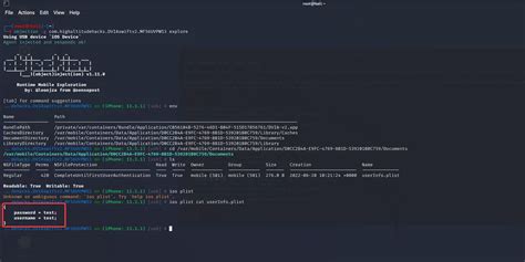 Sensitive Data Exposure In Local Storage Ios Redfox Security Pen Testing Services