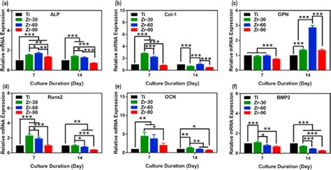 real time pcr analysis of a alp b col i c opn d runx2 e