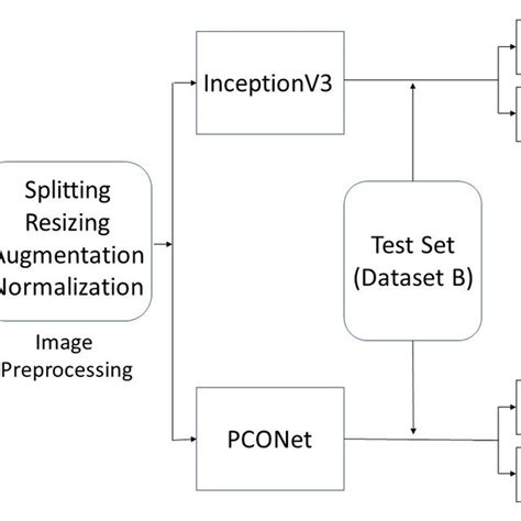 Workflow Of Training And Testing Our Models Download Scientific Diagram