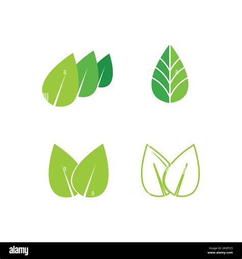 Tree Leaf Vector And Green Logo Design Friendly Concept Stock Vector Image Art Alamy