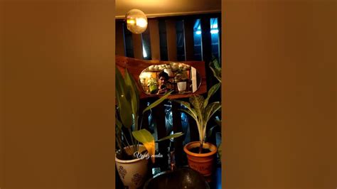 edam art cafe and patisserie kochi play back singer sithara