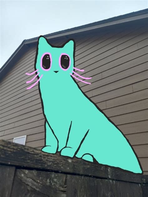 Scug Irl R Rainworld