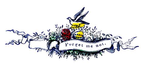 Forget Me Not Antique Pen Flourished Bird Banner Free Image Download