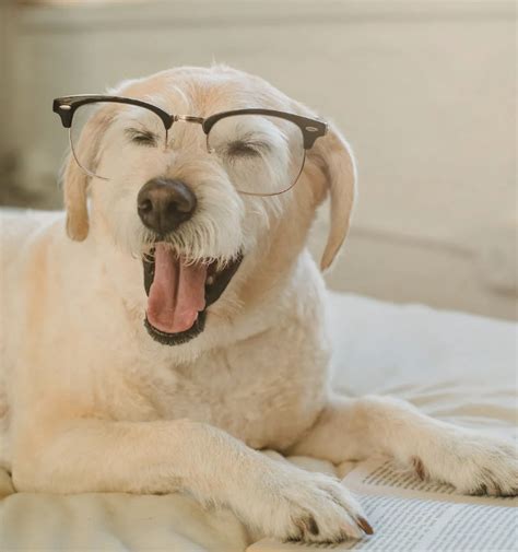 크리스마스 선물추천 1 특별한 선물 5가지 추천