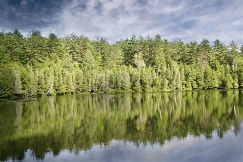 무료 사진 자연 호수 나무 풍경 여름 잔디 필드 하늘
