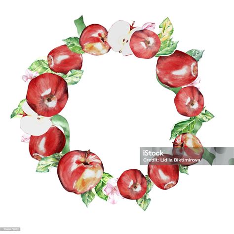 둥근 프레임은 잎과 꽃이 달린 육즙이 많은 빨간 사과의 화환입니다 수제 수채화 그림입니다 흰색 배경에 고립되어 있습니다 메뉴 디자인 엽서 제품 0명에 대한 스톡 벡터 아트