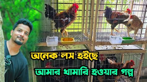 মুরগি পালন করে কি ফ্যামিলি নিয়ে চলা যাবে Youtube