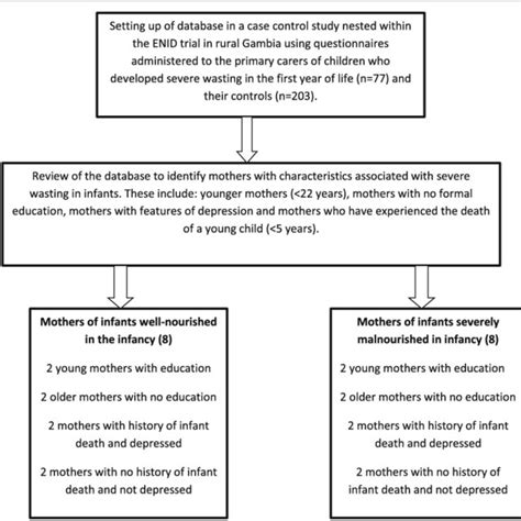 Sampling Framework For Qualitative Data Download Scientific Diagram
