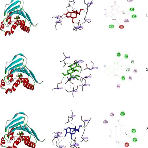 2d And 3d Representations Of The Predicted Binding Modes Inside The Download Scientific Diagram