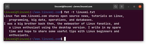 如何在 Linux 中使用 Tr 和 Fmt 命令进行文本操作 Linux迷