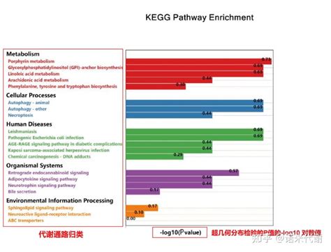 一张图带你了解高分辨率空间代谢组学结题报告——样本区域差异分析篇 知乎